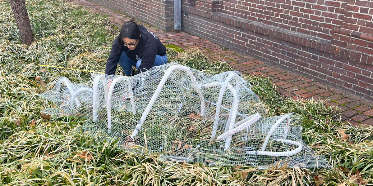 Dorner Prize Winners Focus on Environment and Inclusivity | RISD