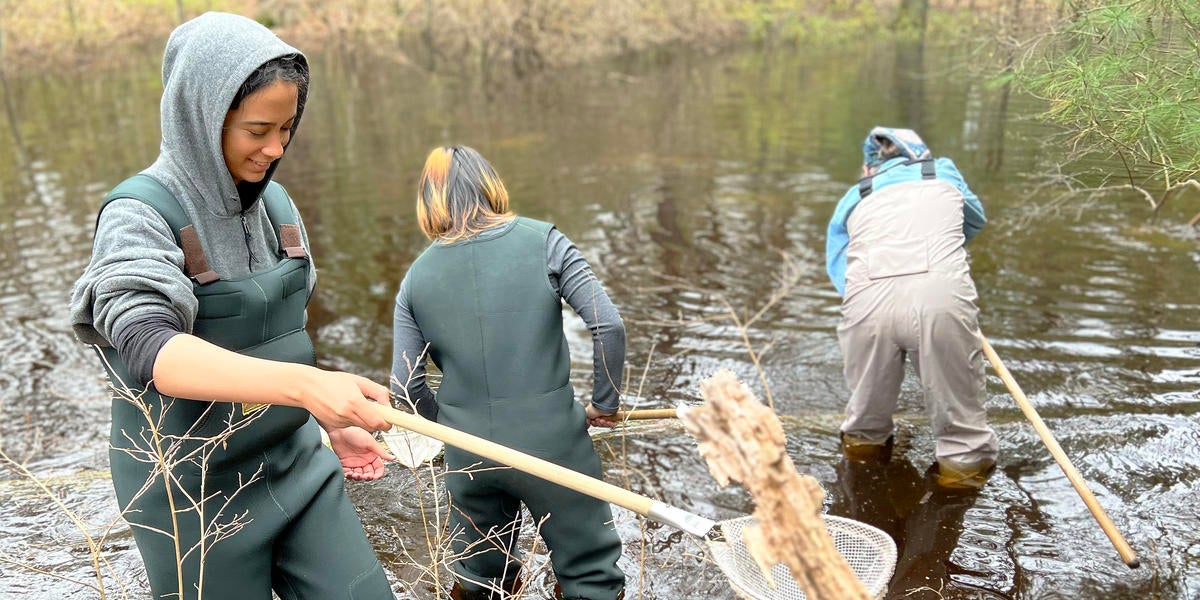 RISD Students Use Scientific Fieldwork to Inform Their Art and Design ...