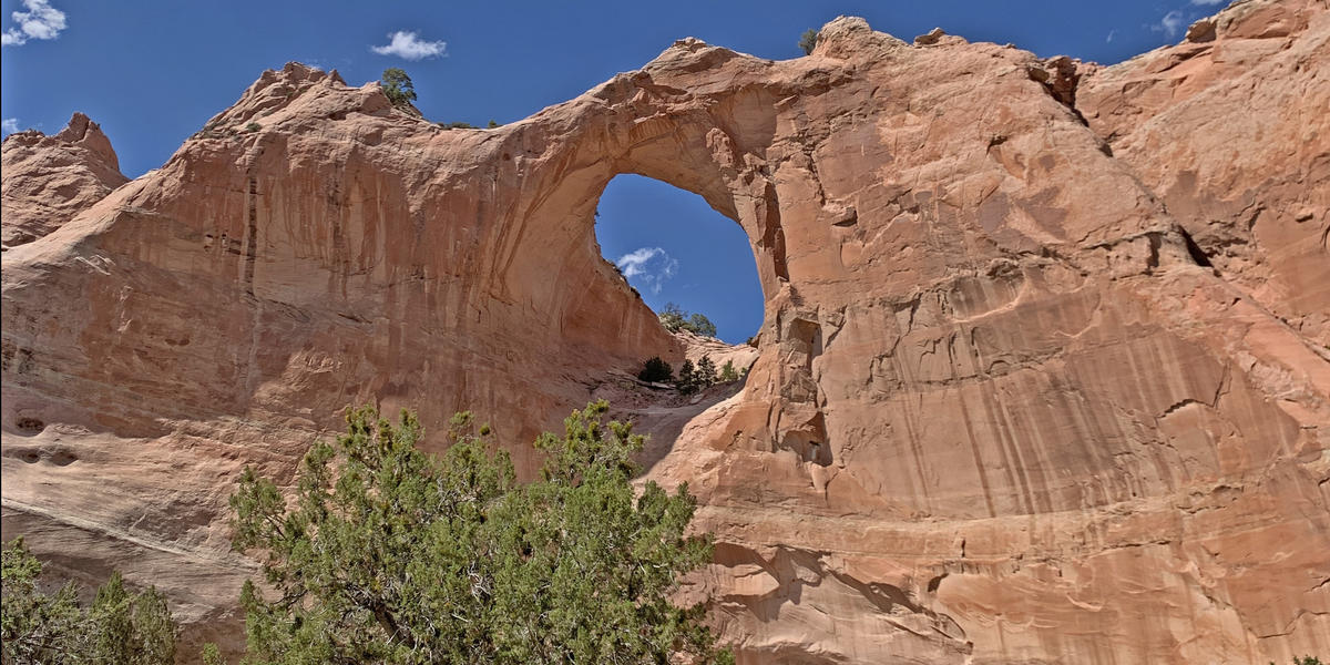 RISD Students Expand Their Horizons Via Enlightening Summer Internships | RISD