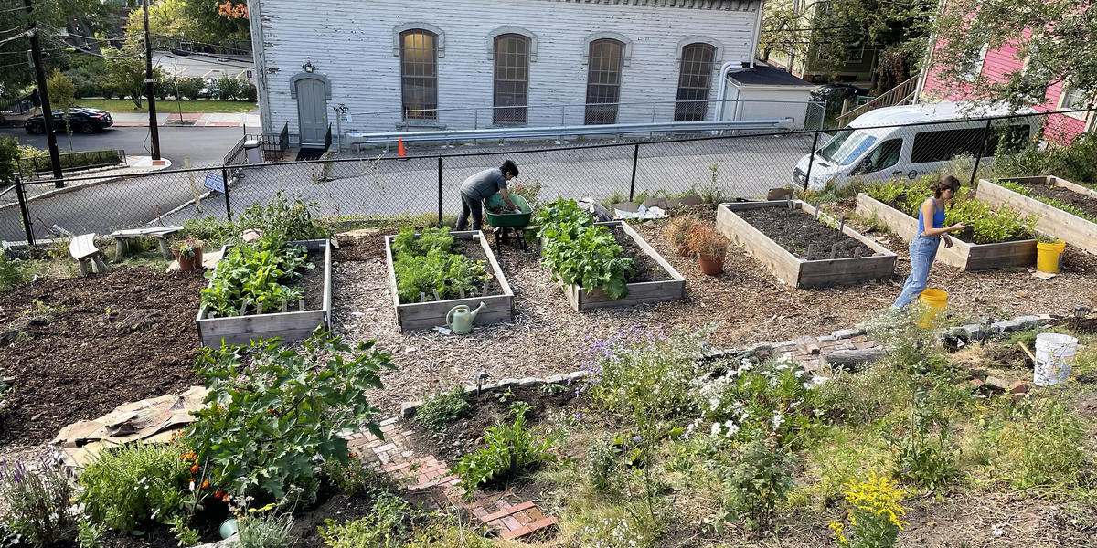 RISD Garden Supports Sustainable Creative Practice | RISD