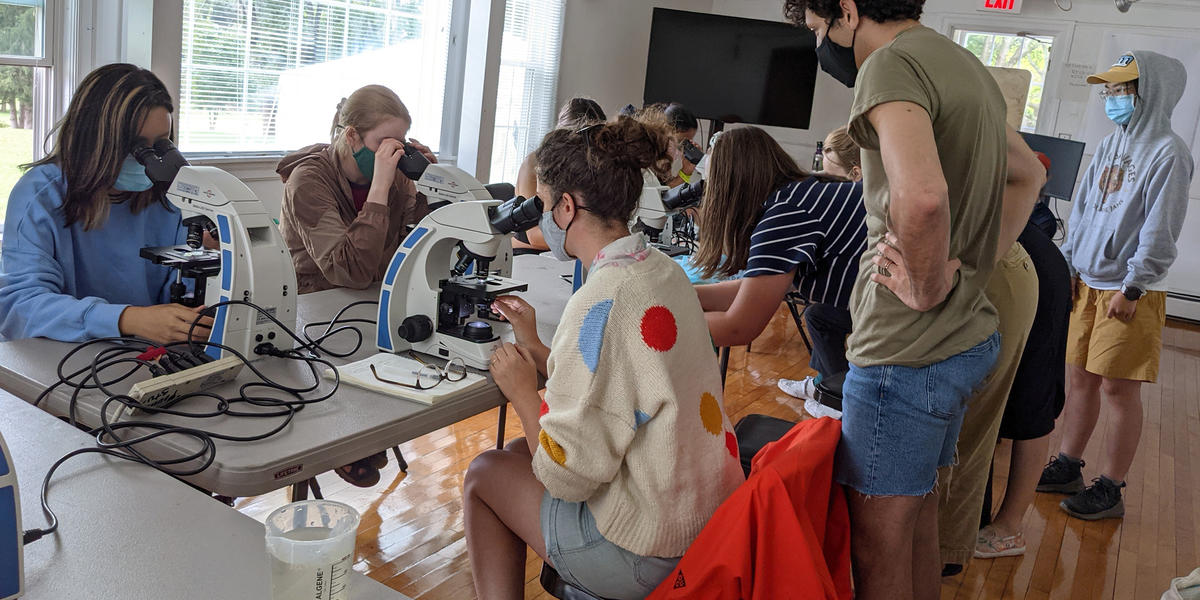 RISD Students Explore Visual Research Methodologies | RISD