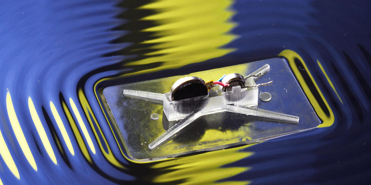 Brown | RISD Dual-Degree Class of ’23 Shares Final Projects | RISD