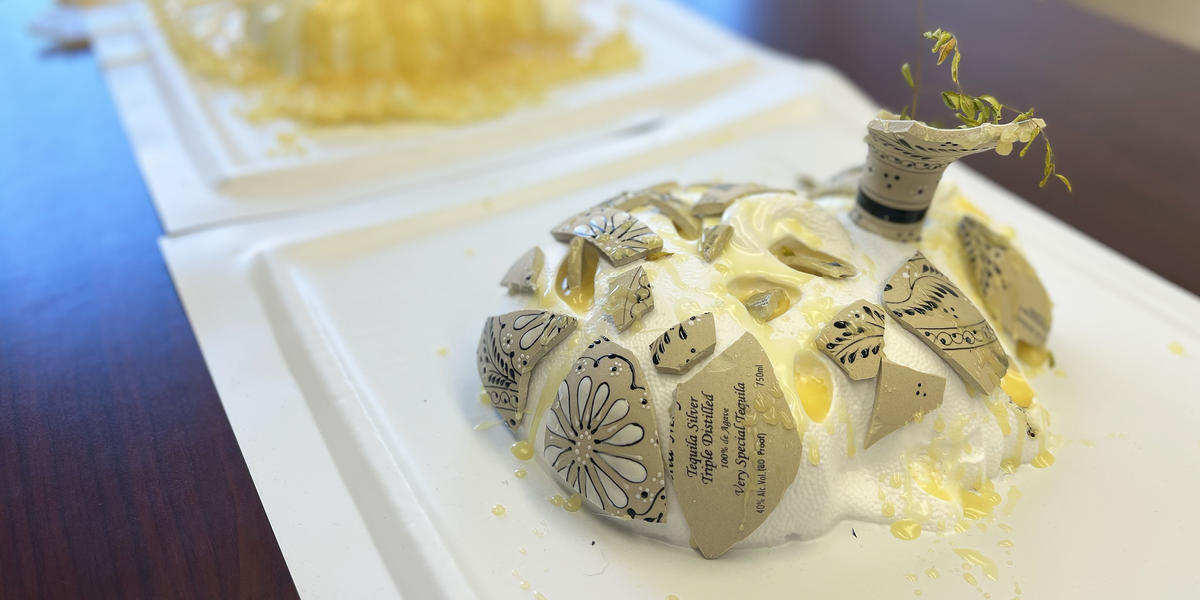 RISD’s Center for Complexity Looks Beyond the Anthropocene | RISD