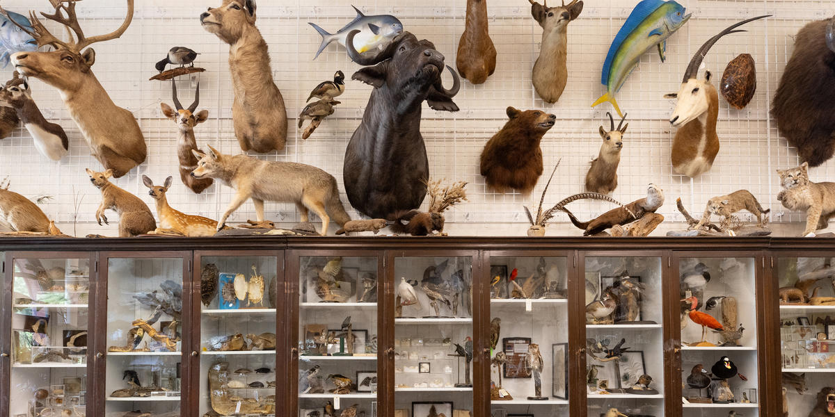 Jennifer Bissonnette Named Houghton P. Metcalf, Jr. (HD 96) Director of RISD’s Edna W. Lawrence ...