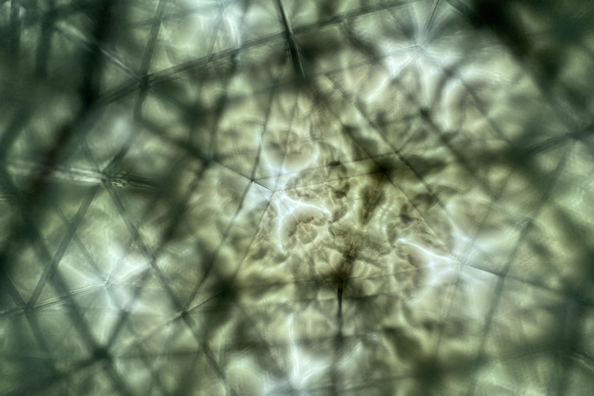 RISD Glass News | RISD