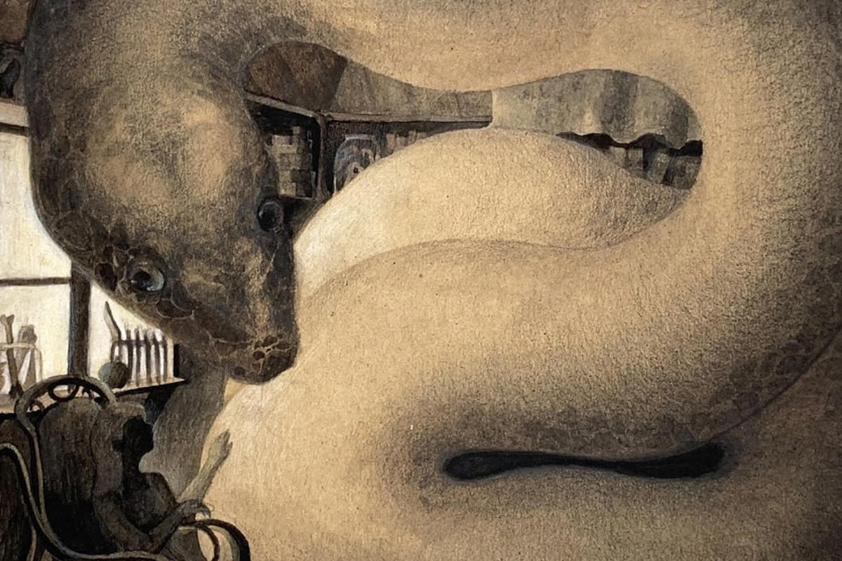 Alumni stories | RISD