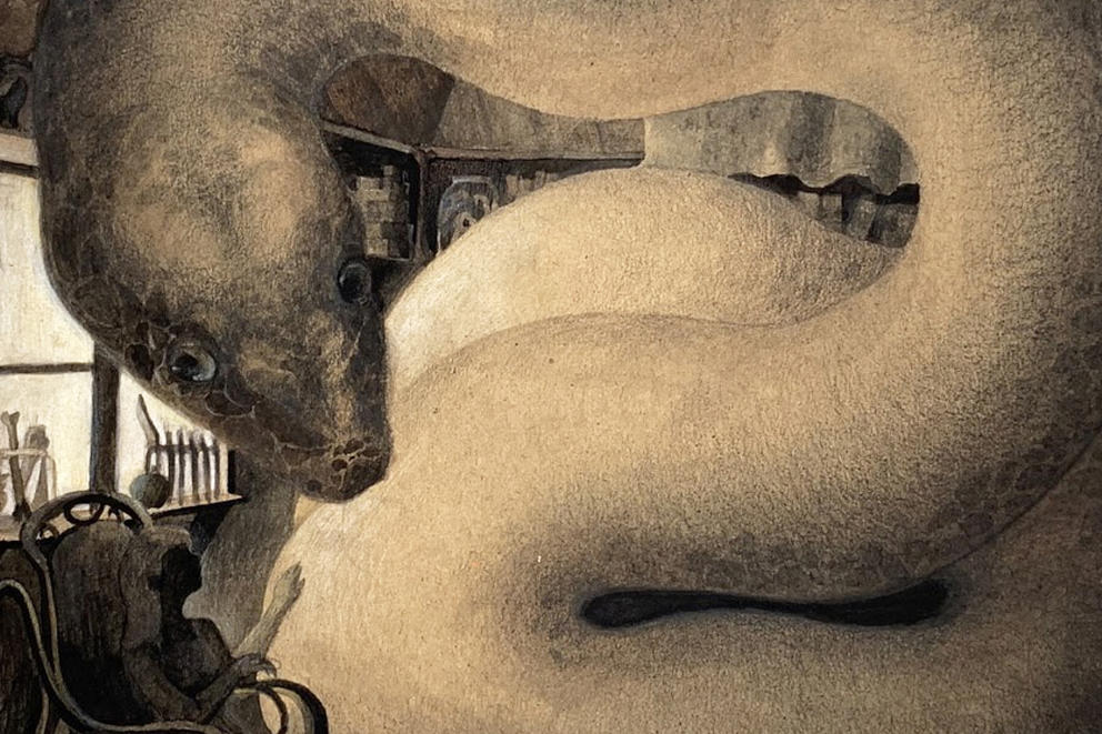 Illustration Department | RISD